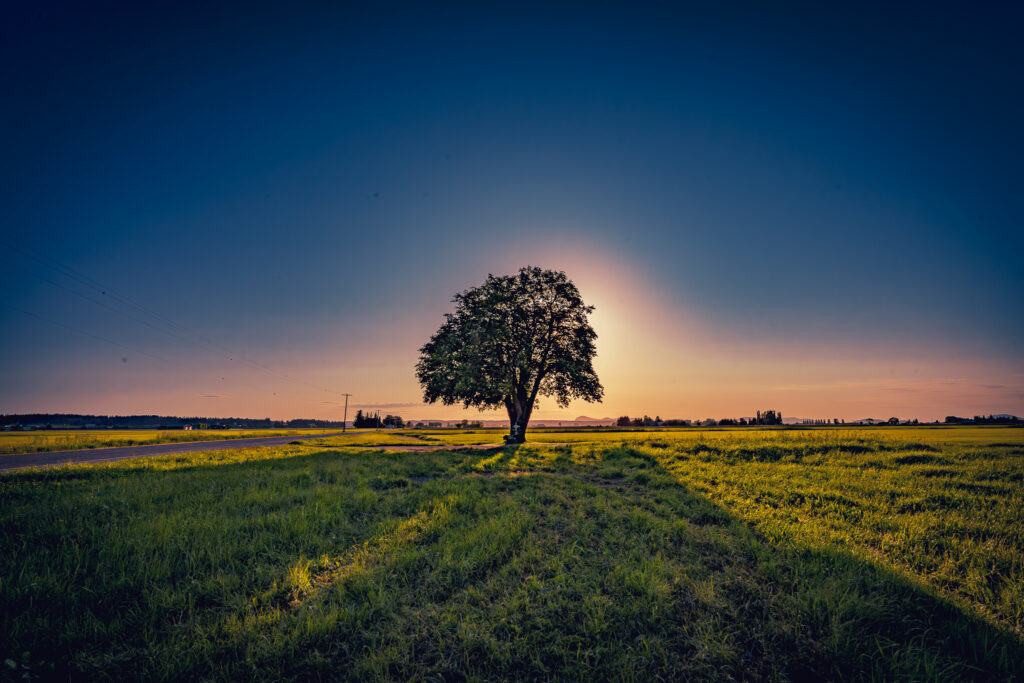 Mount Vernon, WA landscape photographs – May 2023 – Conrad Askland